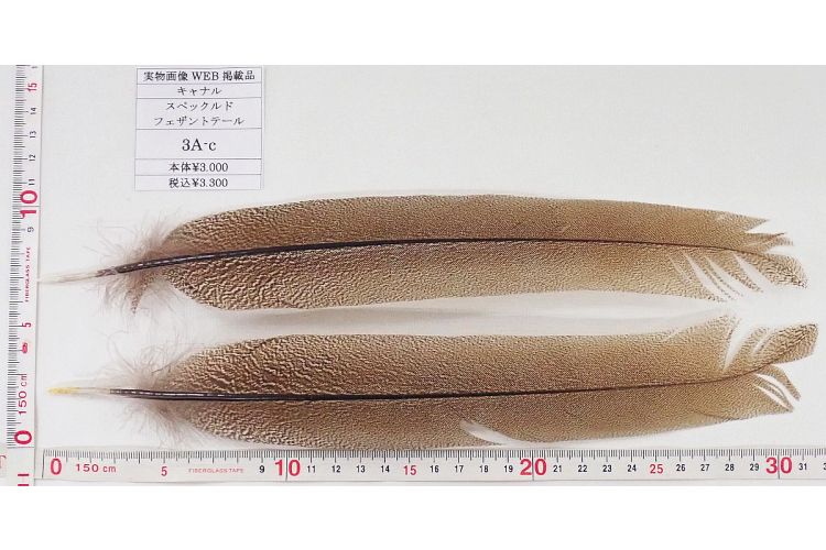 フライ バード・テール系 マテリアル 杜の家ブルック 通販